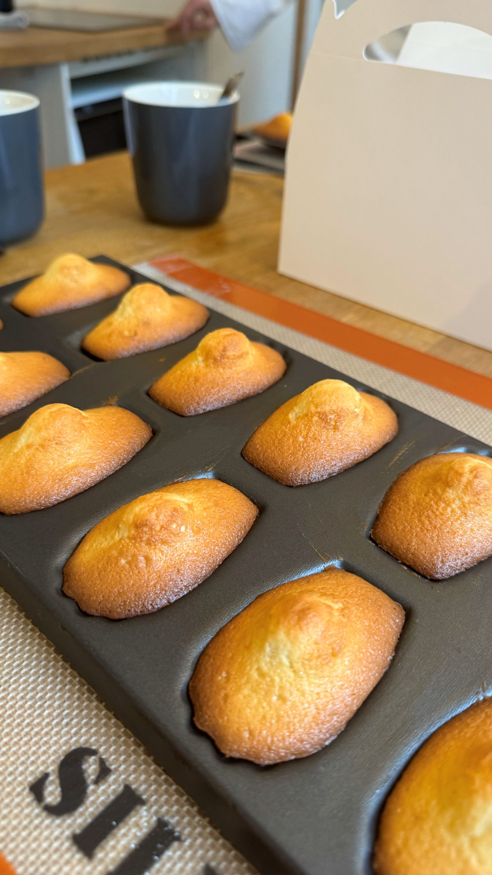 Cours de Madeleines à Paris – Madeleines Paris